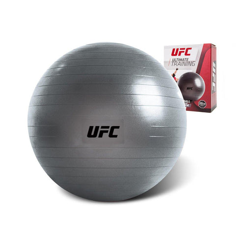 UFC FitBall - 55cm 66cm and 75cm Exercise Ball With Pump – Spirit ...