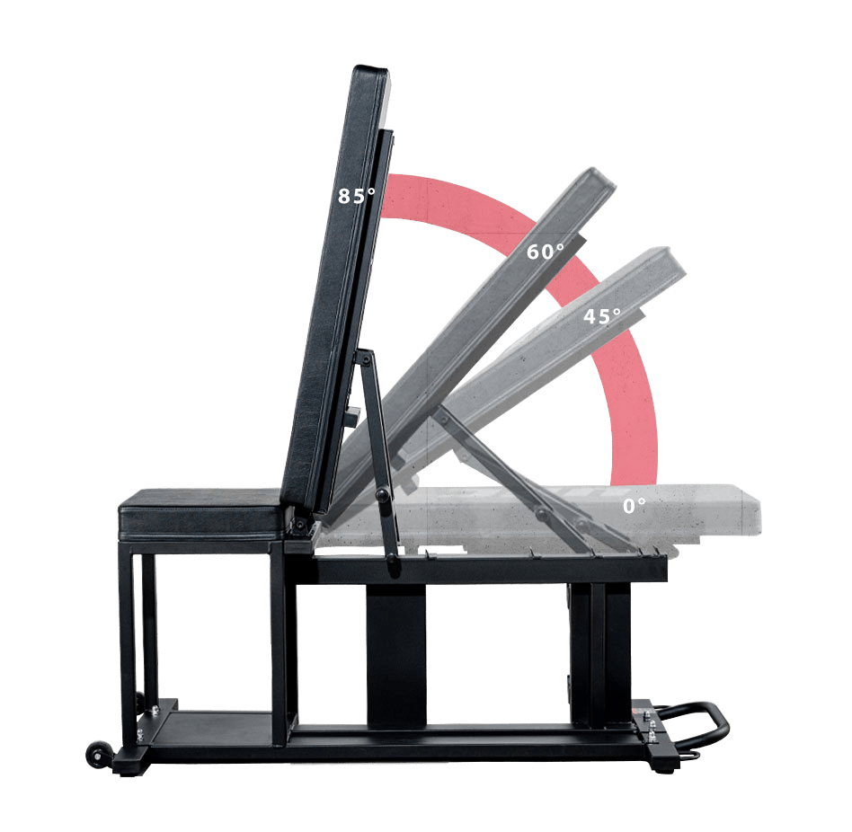 UFC Zone+ Bench – Spirit Combat Sports