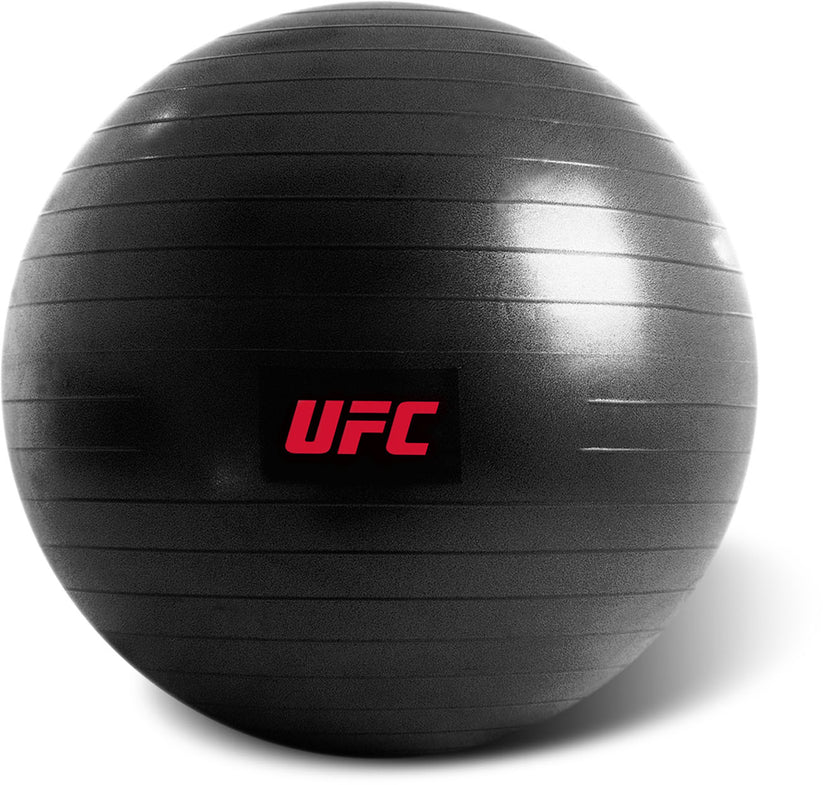 UFC FitBall - 55cm 66cm and 75cm Exercise Ball With Pump – Spirit ...