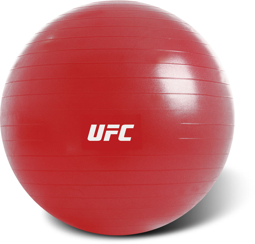 UFC FitBall - 55cm 66cm and 75cm Exercise Ball With Pump – Spirit ...